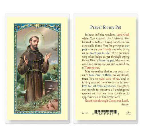 Saint Francis Xavier Novena Prayer Laminated Holy Card 25 Pack Buy Religious Catholic Store